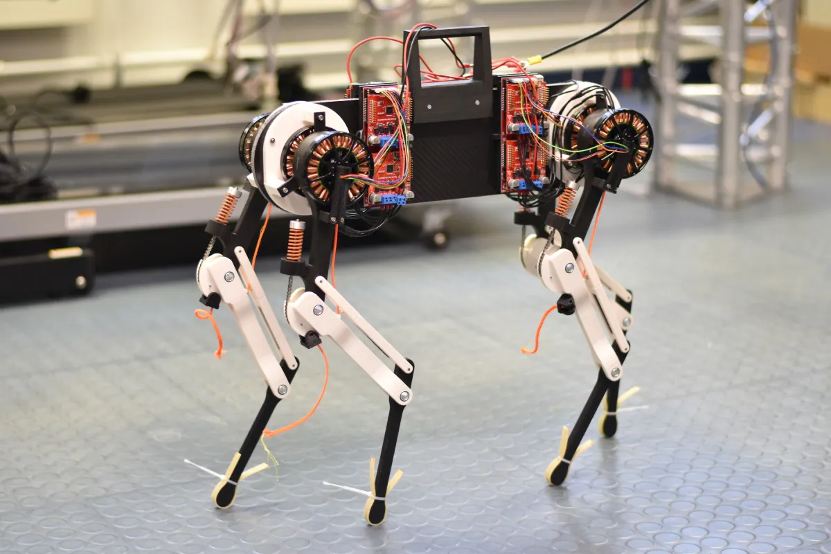 Scientists have created a self-learning robot dog - Enterprise Viewpoint